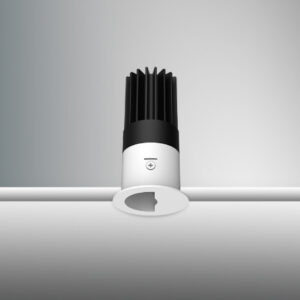 Acorn 50 - Trojan Intelligent Lighting Solutions